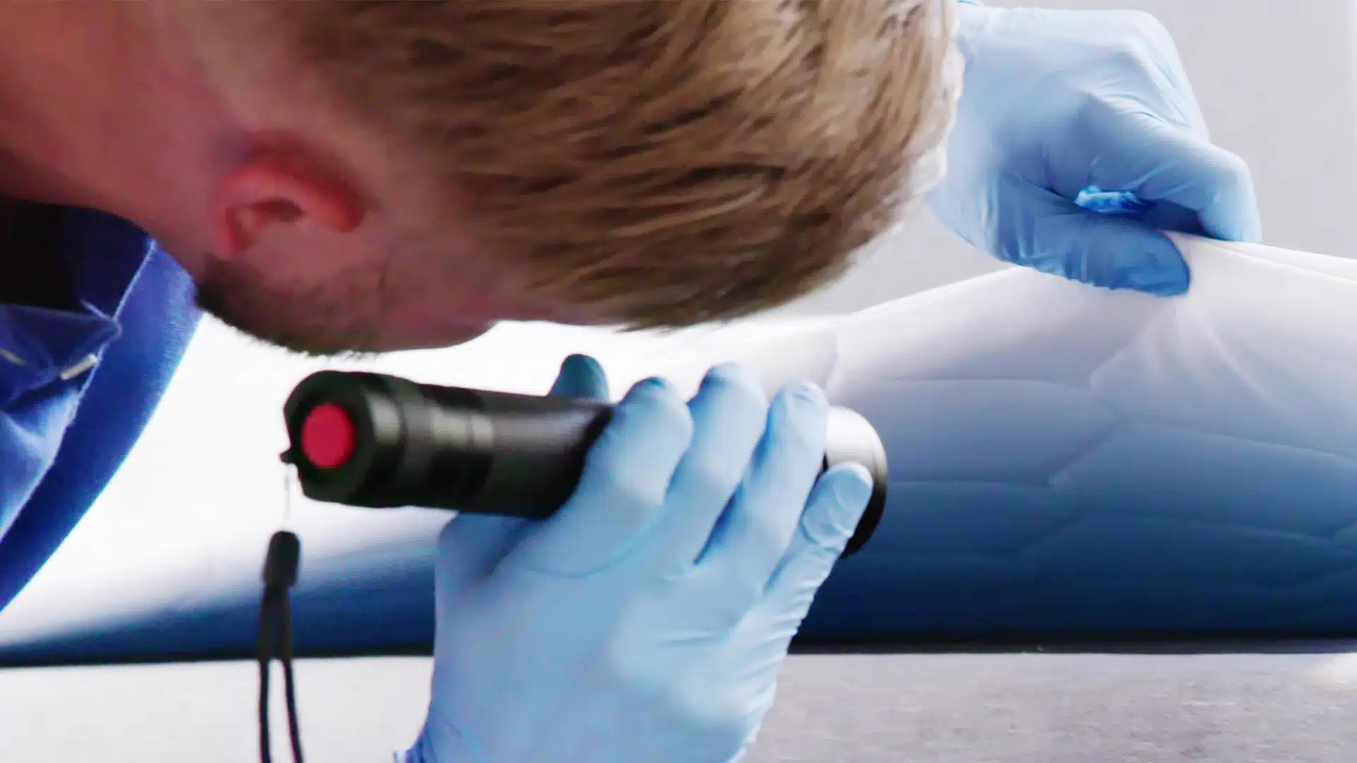 Do Not Blame the Bug Guy! | Hannan Environmental | #1 Best Pest Control